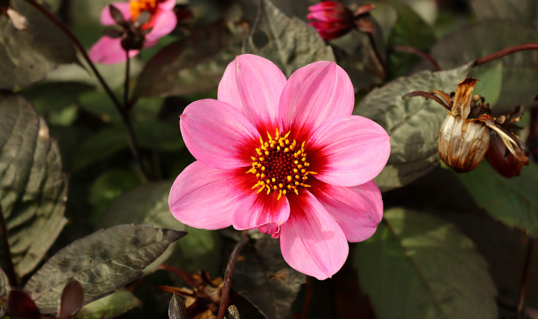 Connecting With Nature In Scotland – Scottish Communities Climate ...
