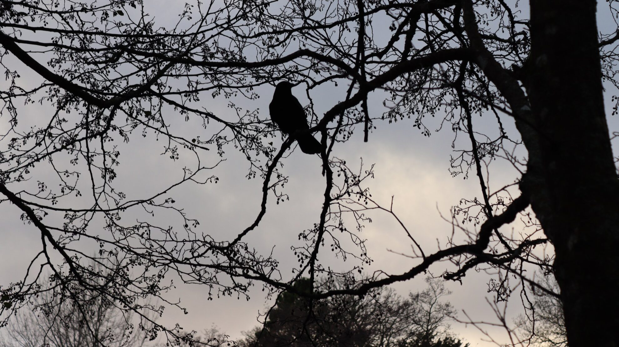 Connecting With Nature In Scotland – Scottish Communities Climate ...